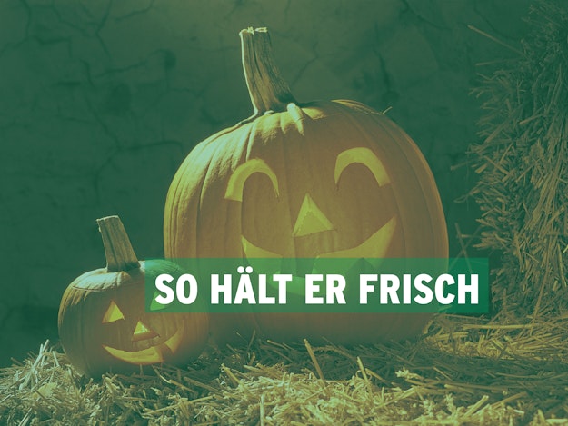 Diese Tipps sind eine echte Kürbis-Verjüngung! | RADIO PSR Diese Tipps sind eine echte Kürbis-Verjüngung! | RADIO PSR